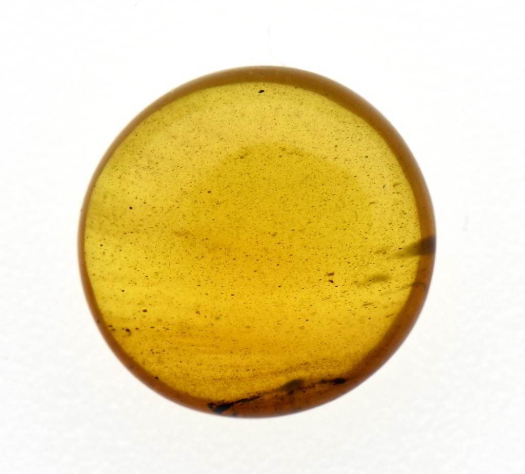 久慈原産琥珀原石（研磨済） – 上山琥珀工芸